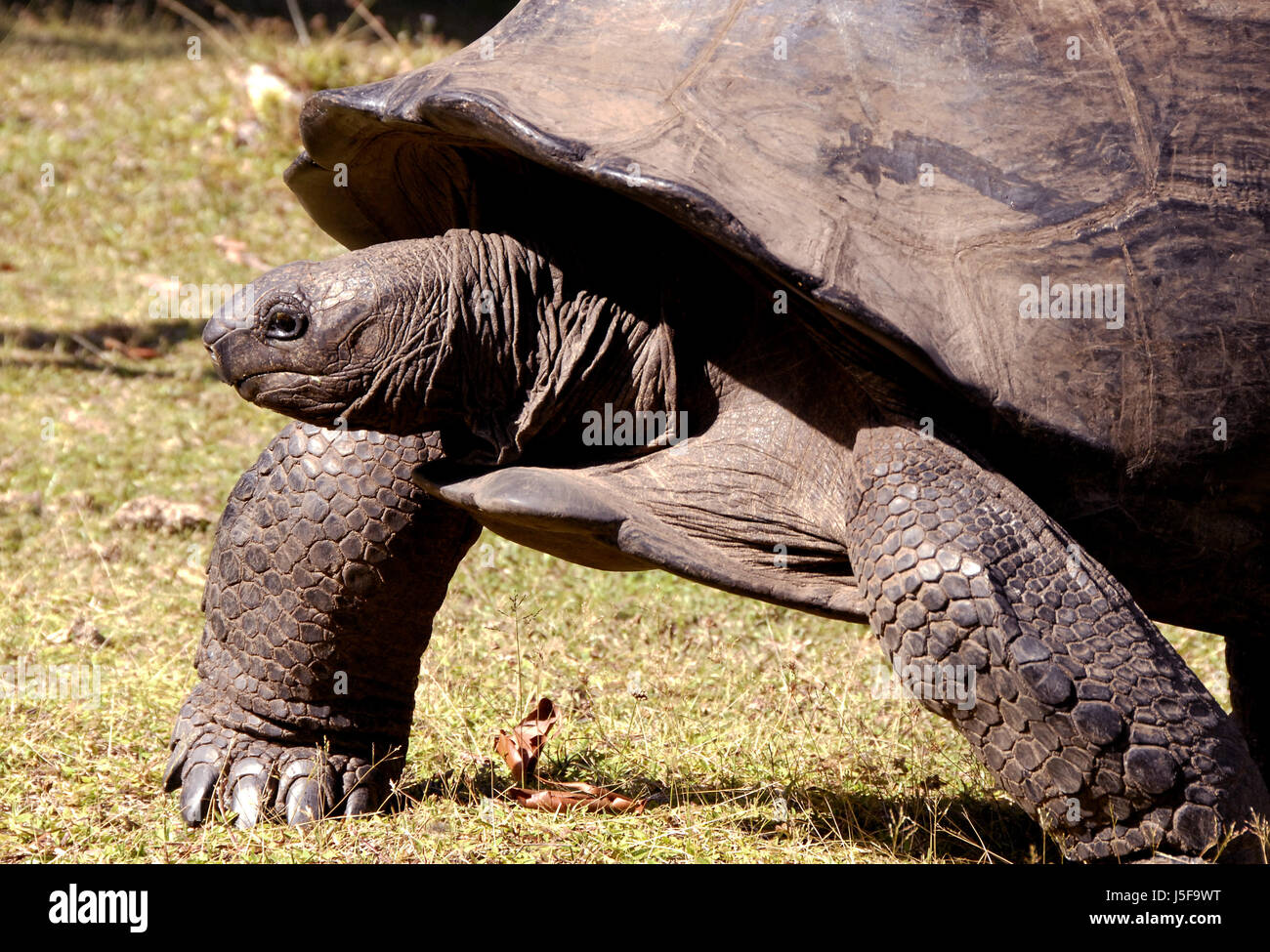 Raslin hi-res stock photography and images - Alamy