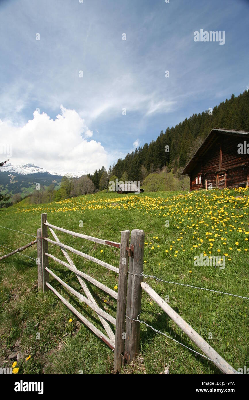 on the alp Stock Photo - Alamy