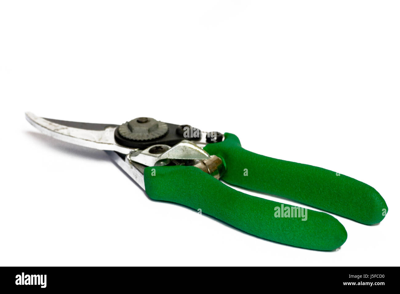 tool garden plant hobby spring gardener scissors scissor gardening cut ...