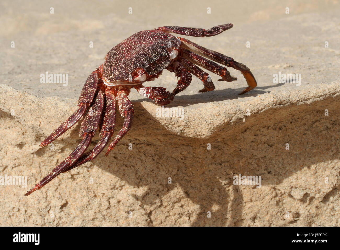 in the abyss Stock Photo - Alamy