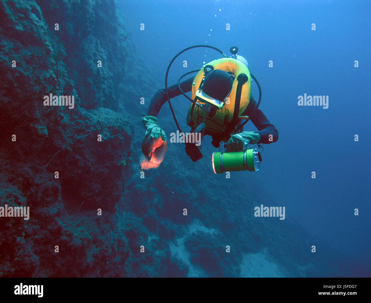 water mediterranean salt water sea ocean underwater snail shell dive ...