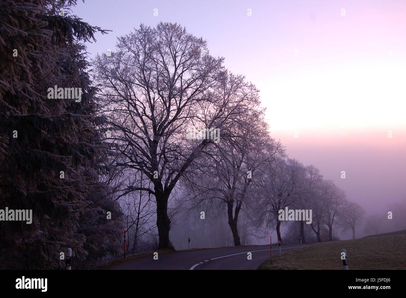 fog and day-night boundary Stock Photo - Alamy