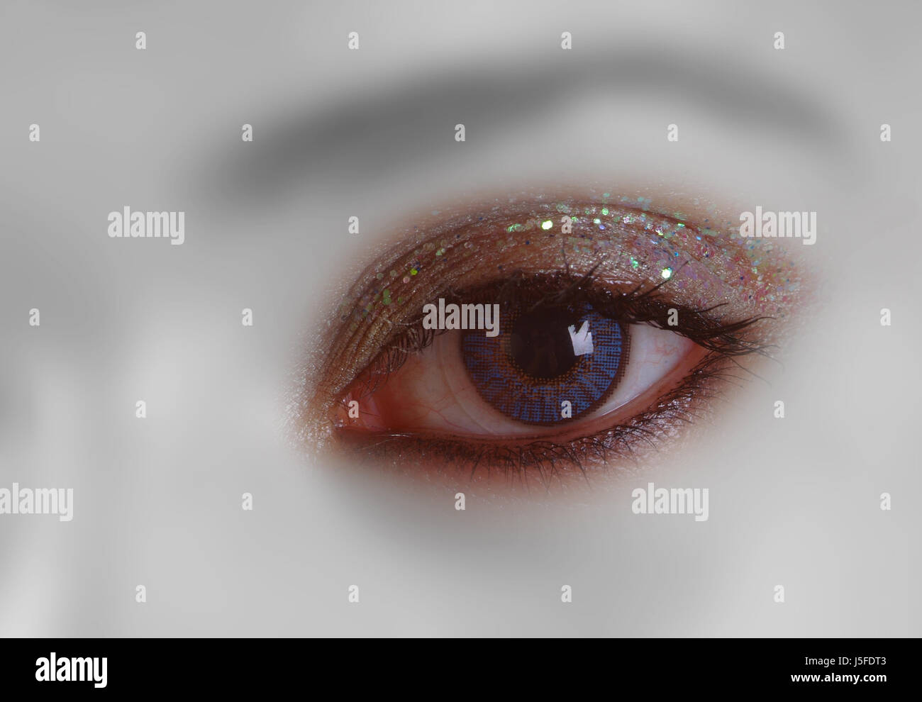 woman beautiful beauteously nice feminine lady female eye organ blank ...