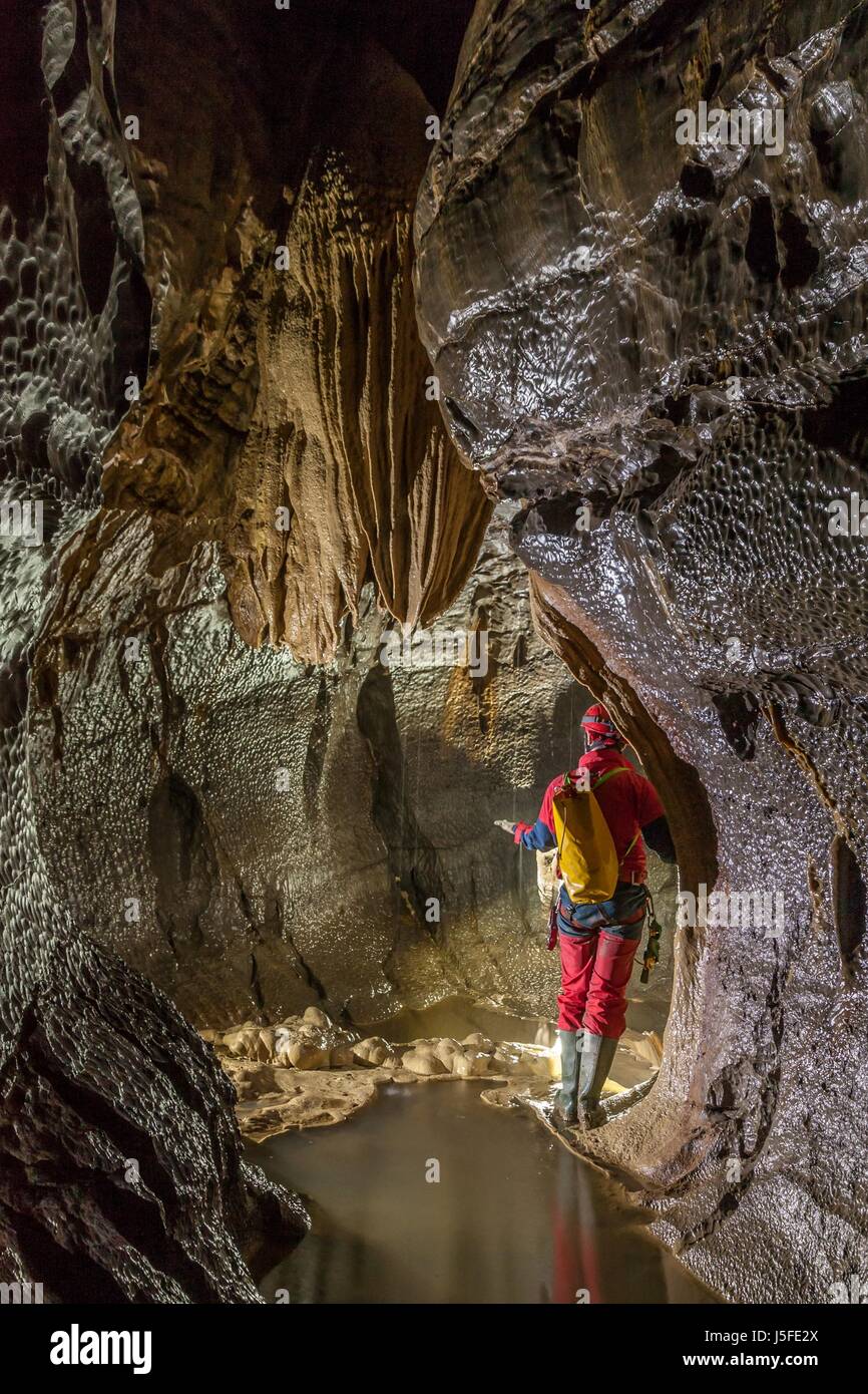 Markov hi-res stock photography and images - Alamy