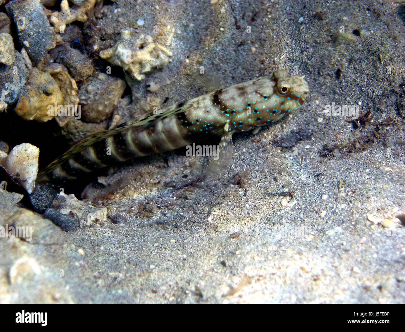 Open mouth cave hi-res stock photography and images - Alamy