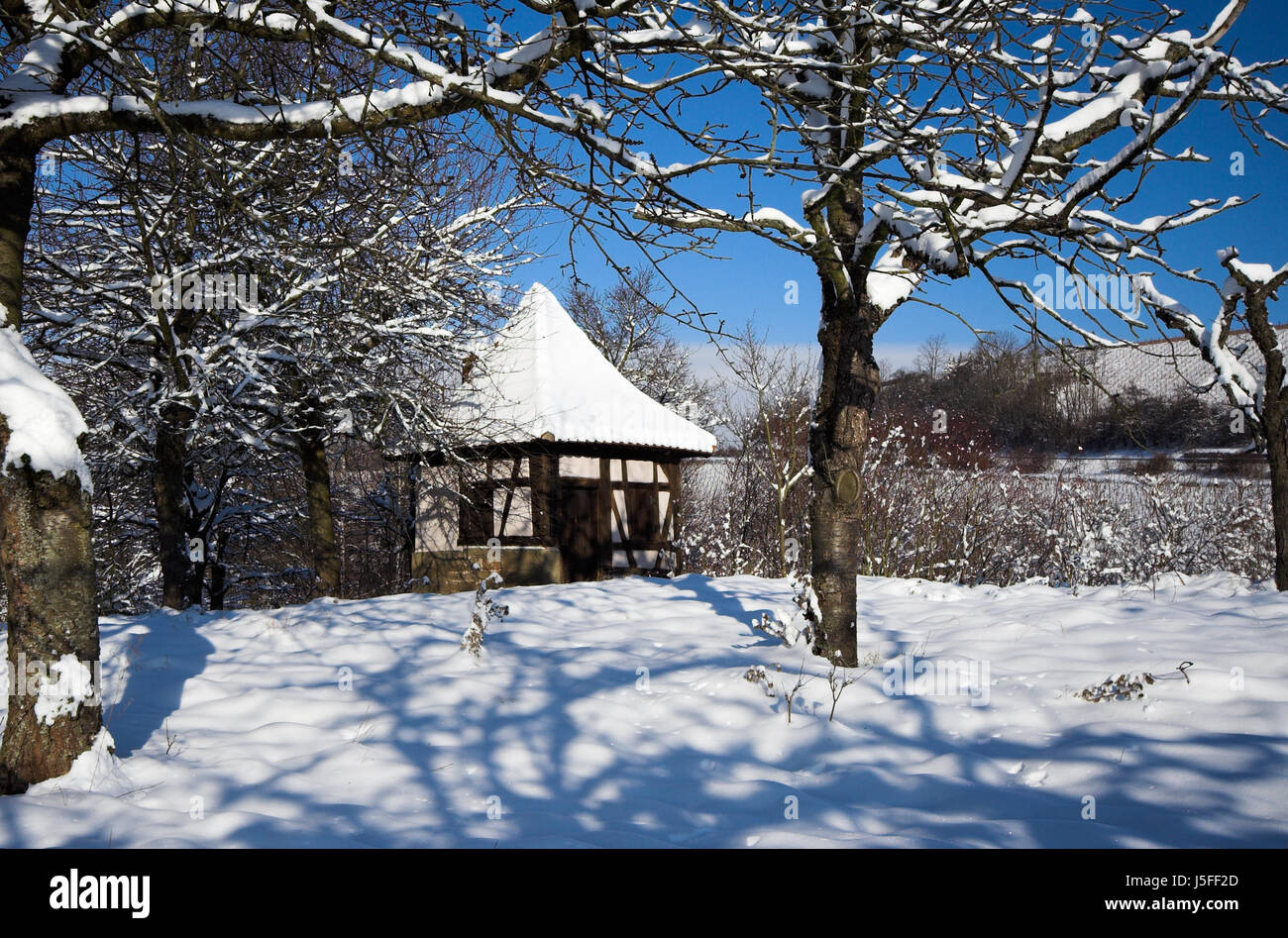 blue house building tree trees garden winter cold cottage vintager ...