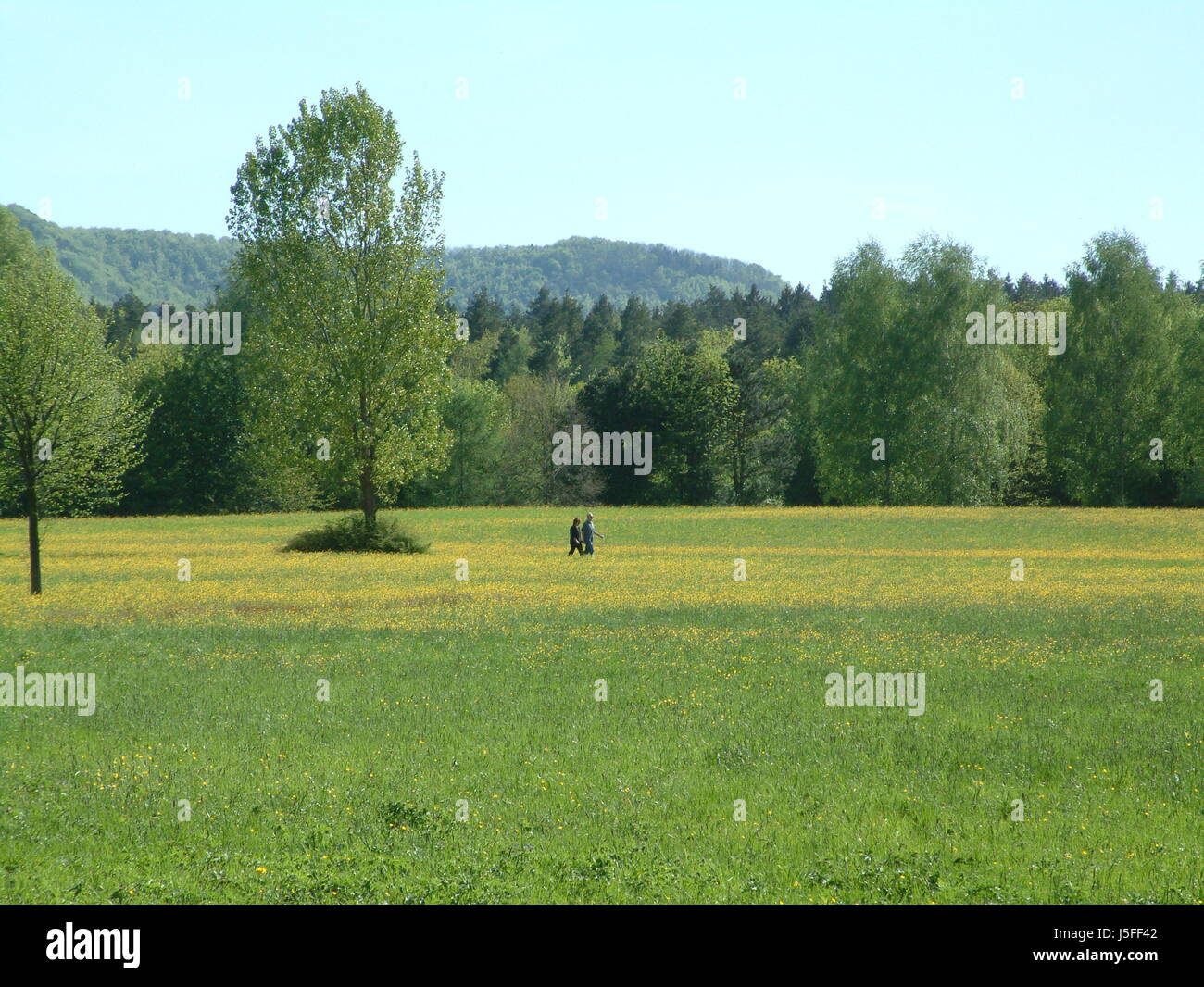 May all the beings hi-res stock photography and images - Alamy