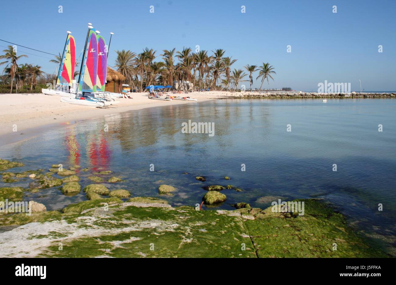 key west - caribbean dreams Stock Photo - Alamy