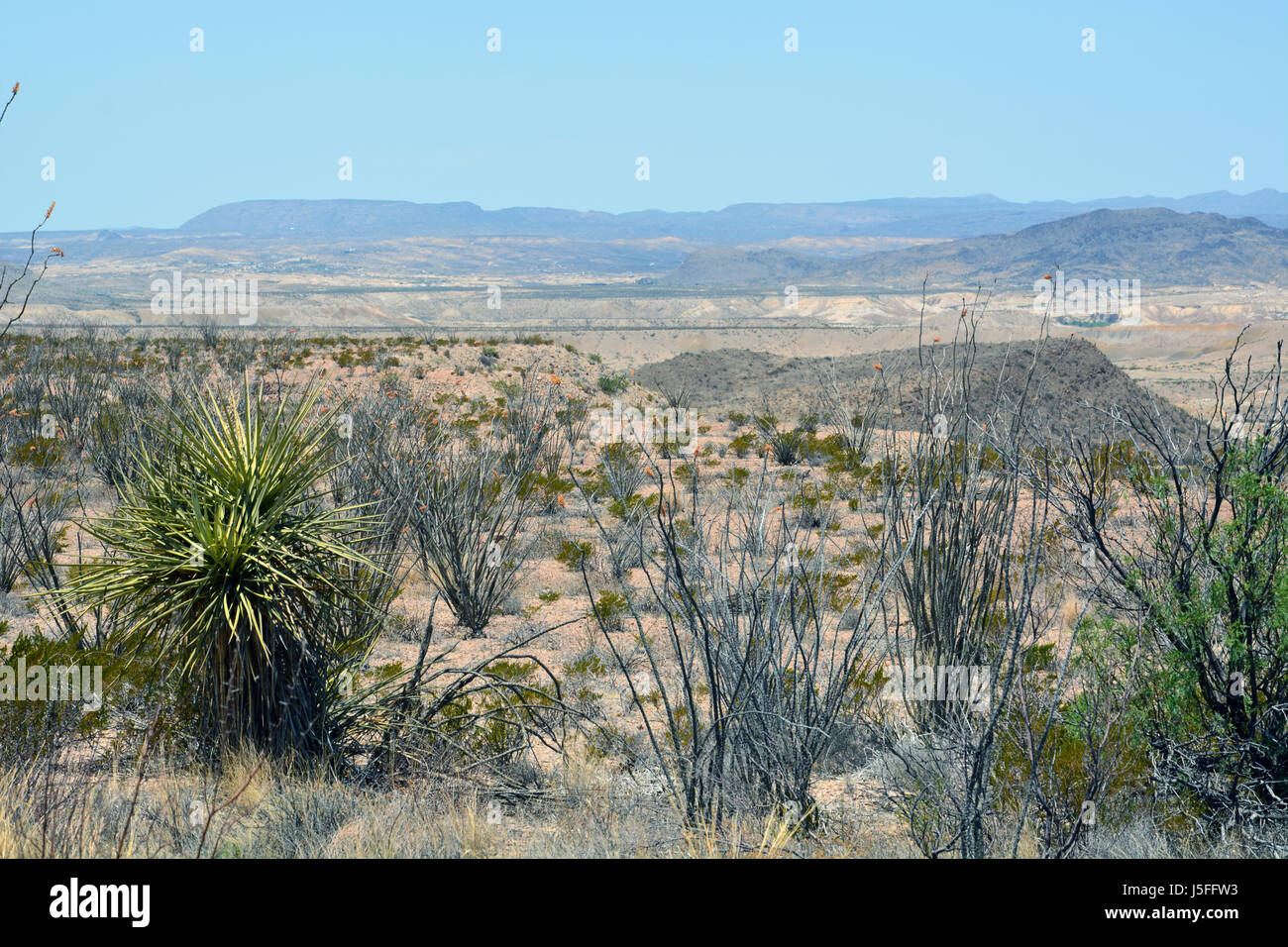 The back country of the Chihuahuan Desert in Big Bend National Parks ...