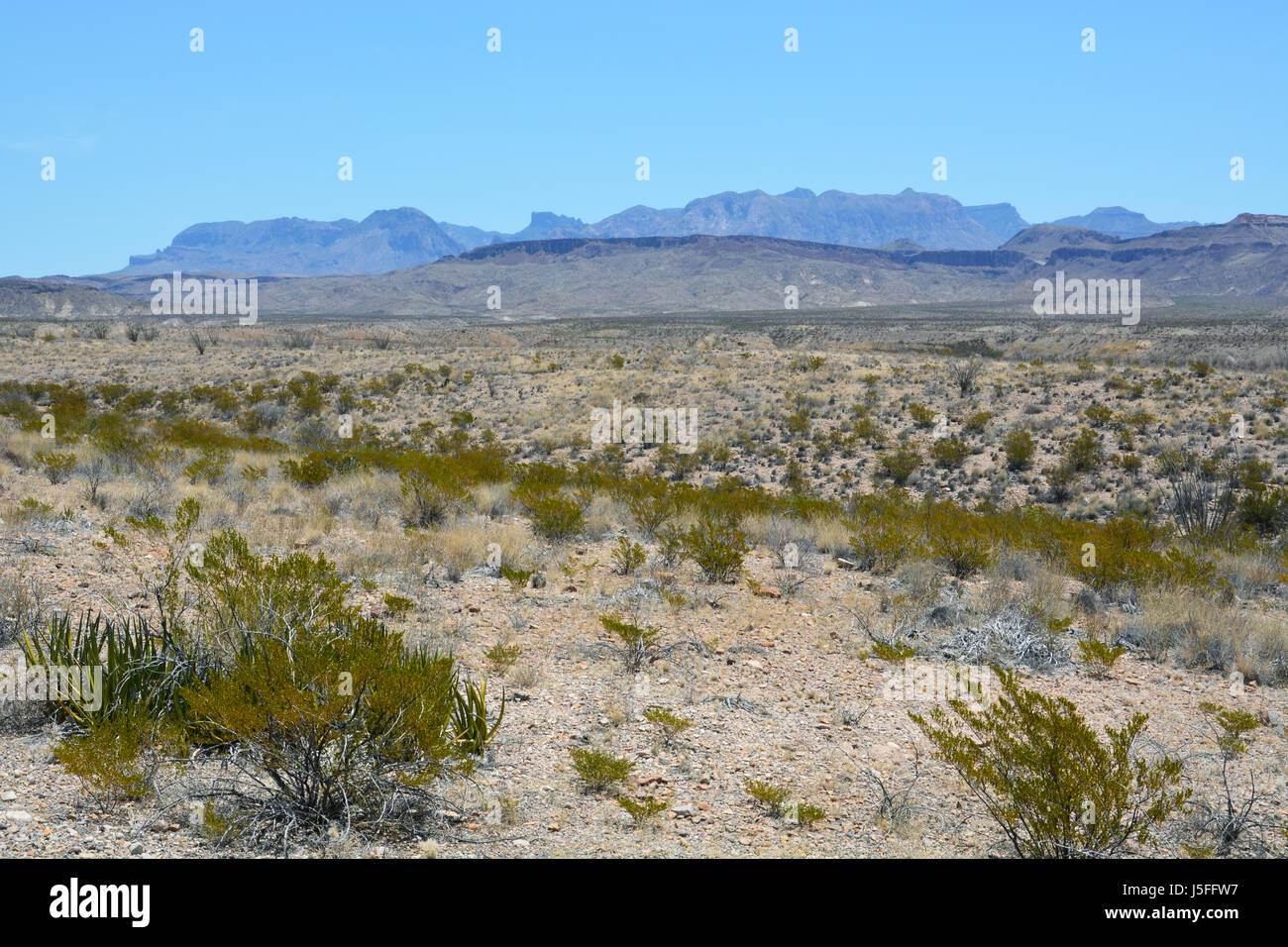 The back country of the Chihuahuan Desert in Big Bend National Parks ...