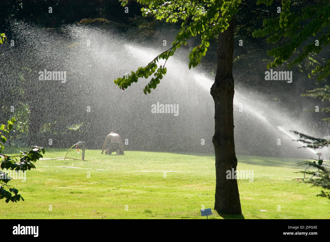 watering a lawn Stock Photo - Alamy