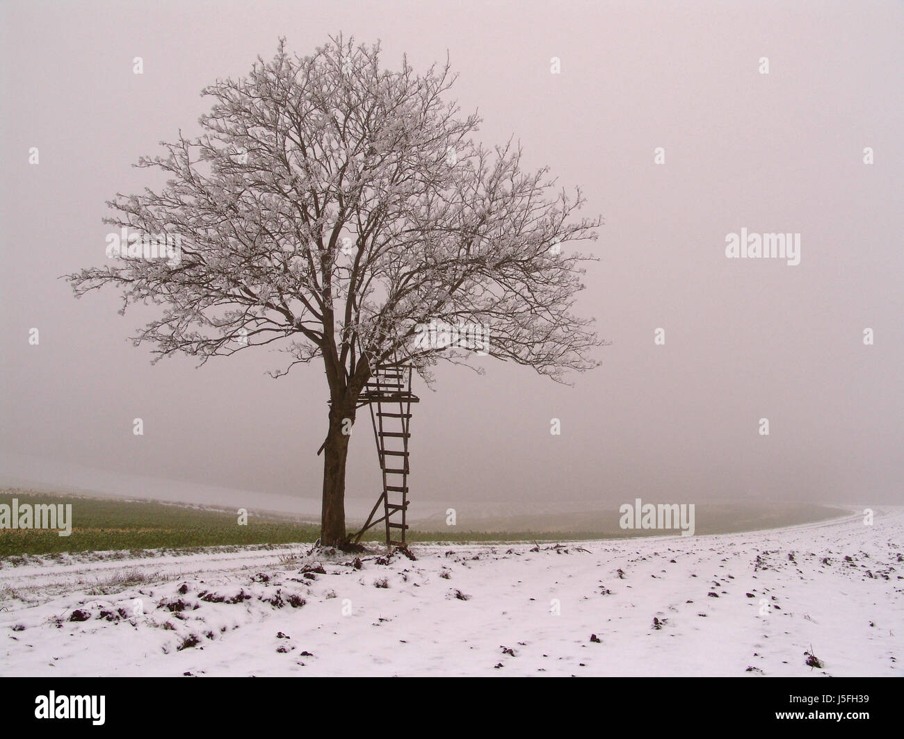 the first snow Stock Photo - Alamy