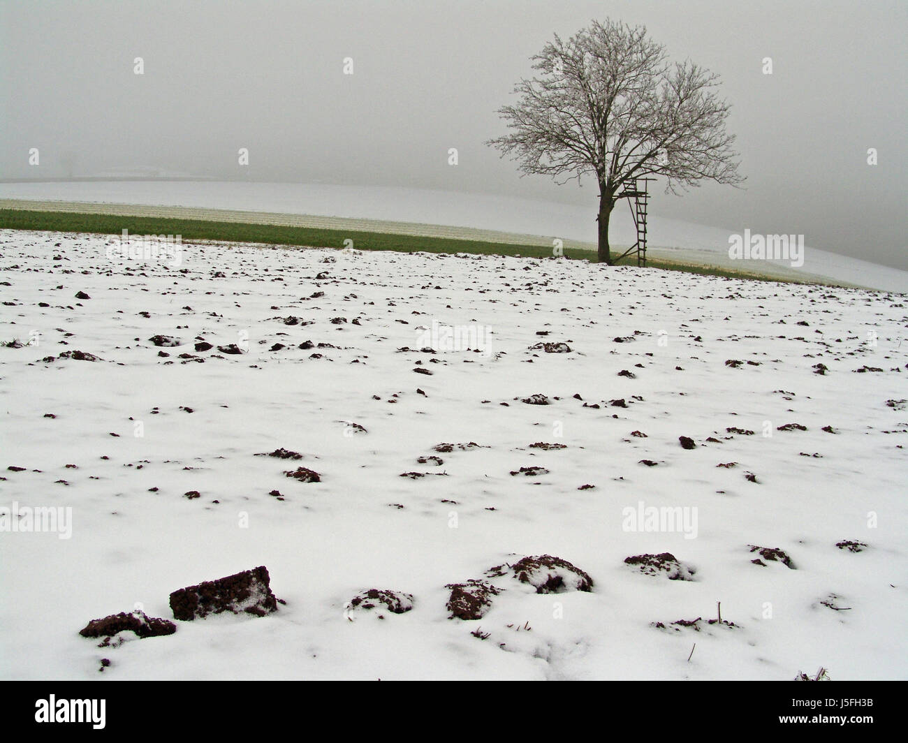 the first snow Stock Photo - Alamy