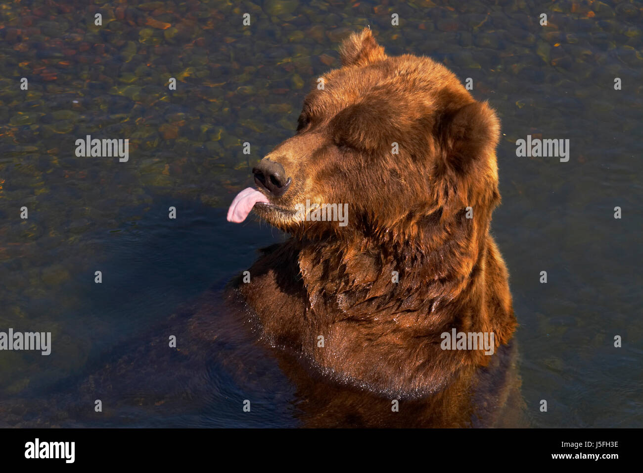 Yah hi-res stock photography and images - Alamy