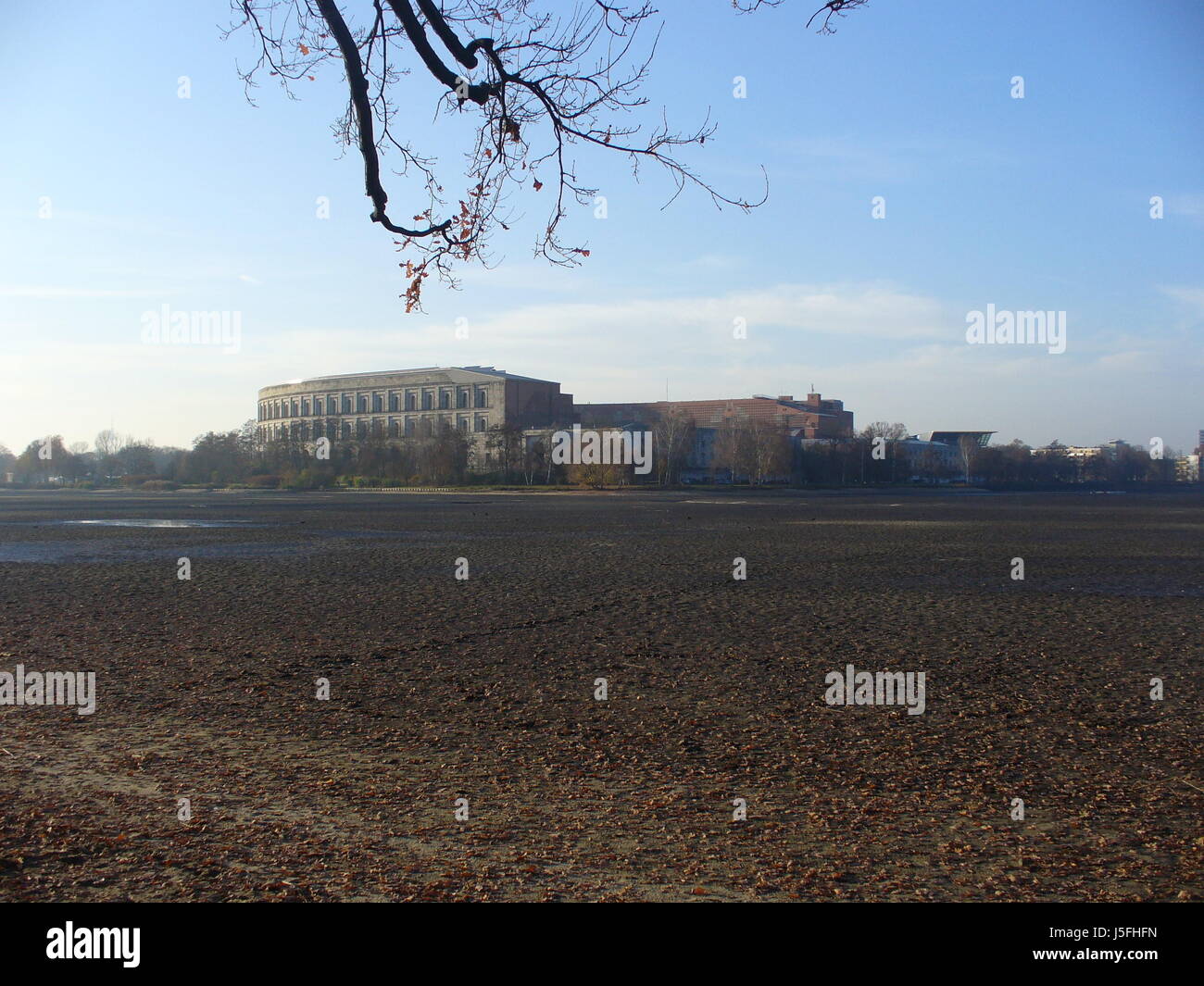 tree trees museum nuremberg style of construction architecture ...