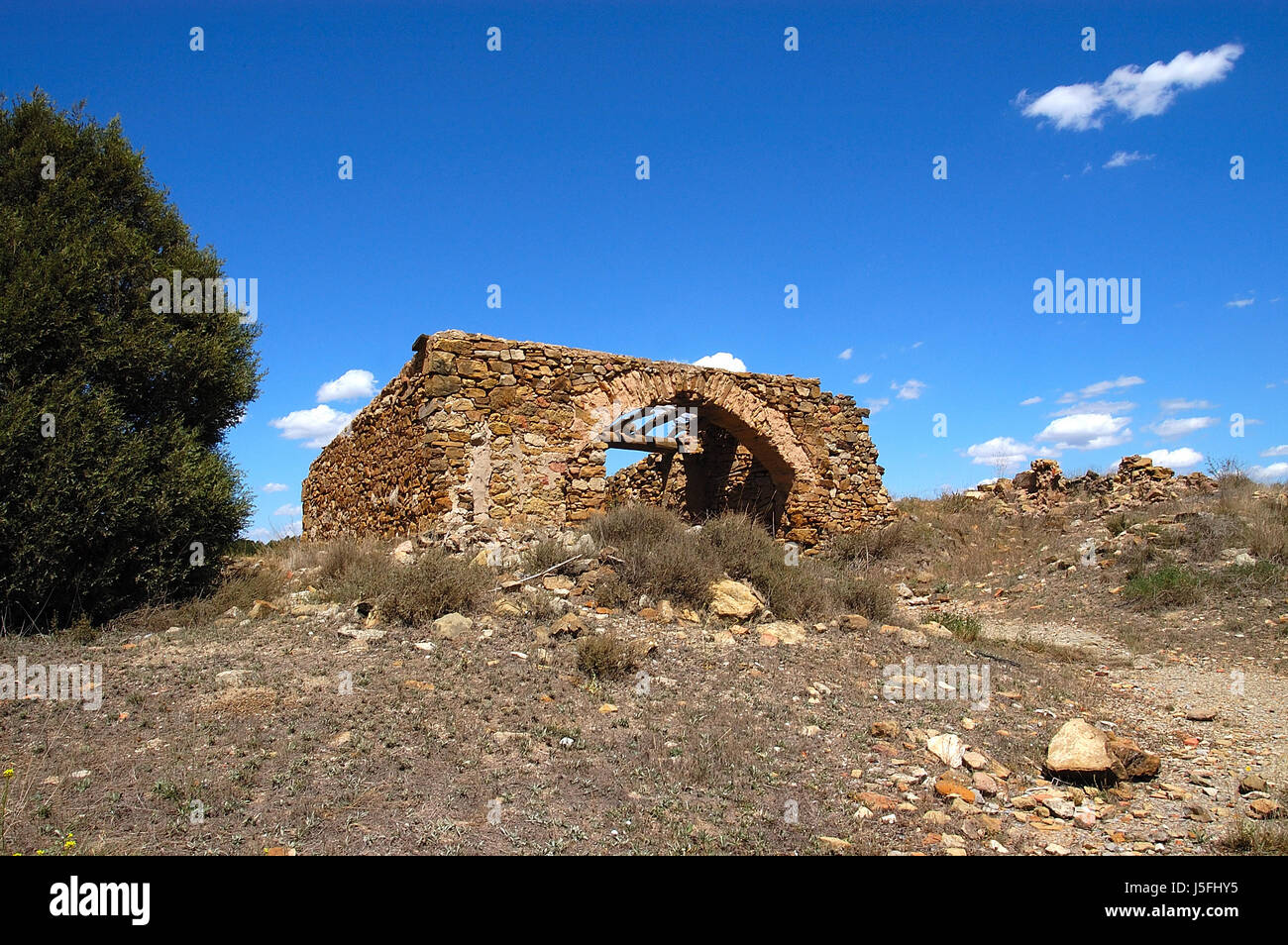 humans human beings people folk persons human human being house ...