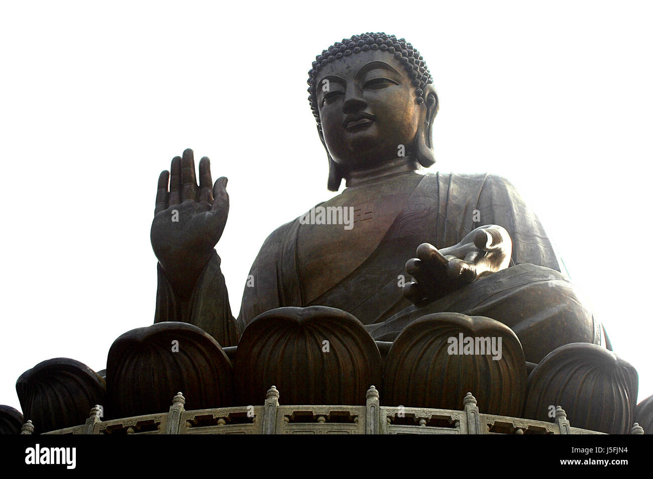 blue stairs hand hands tree trees green buddha shrub lotus free cutter ...