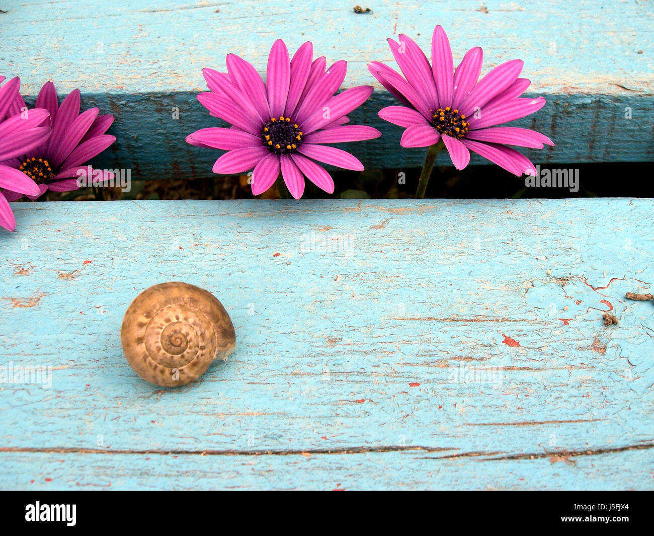 Bltenbank hi-res stock photography and images - Alamy