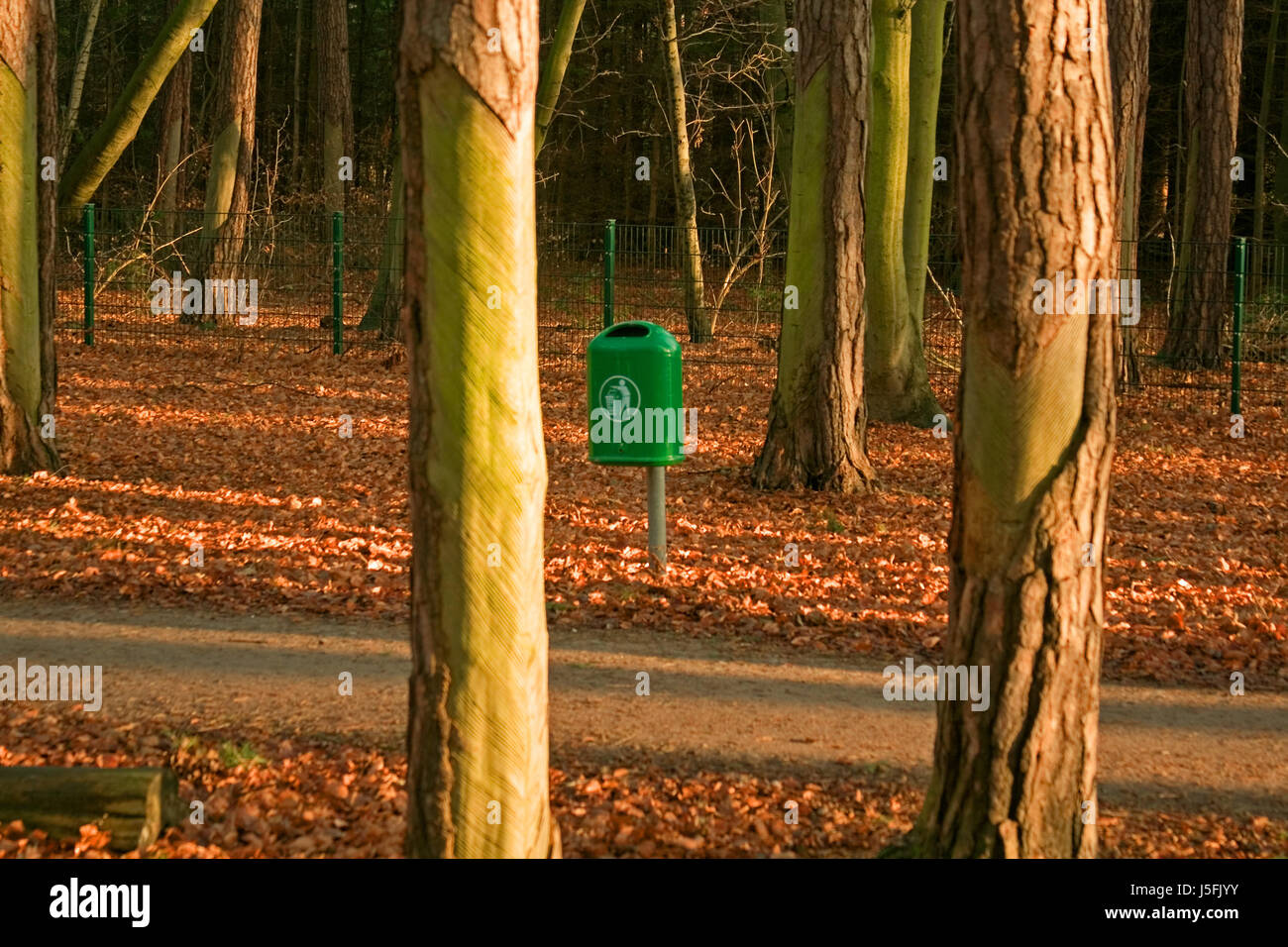 tree trees park garbage can mull refuse wastepaper basket path way ...