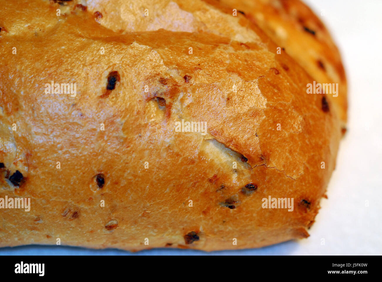 food aliment pastries roll kaiser onions bread zwiebelbrtchen weck ...