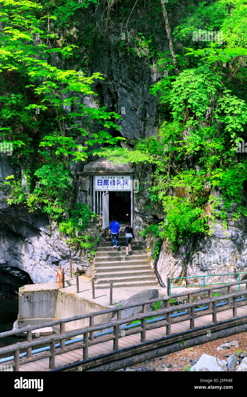 Nippara Limestone Cave Entrance Okutama-machi Tokyo Japan Stock Photo ...