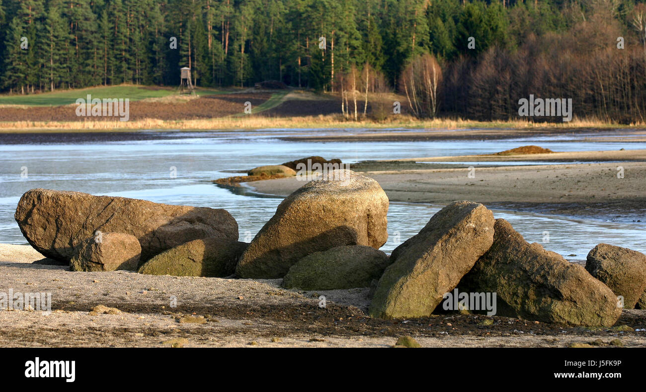stone rock evening light ray of light mild conifer forest granite bank ...