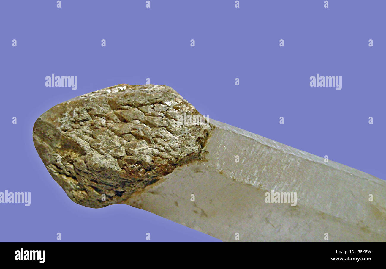 coveted collector's item Stock Photo - Alamy