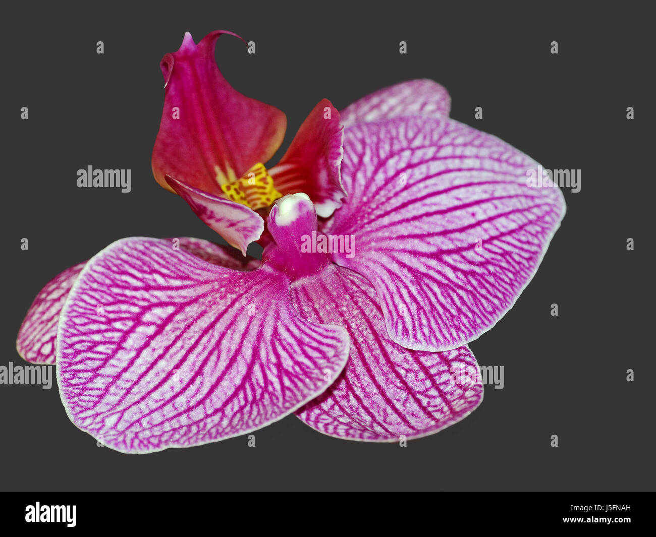 Bent light rays hi-res stock photography and images - Alamy