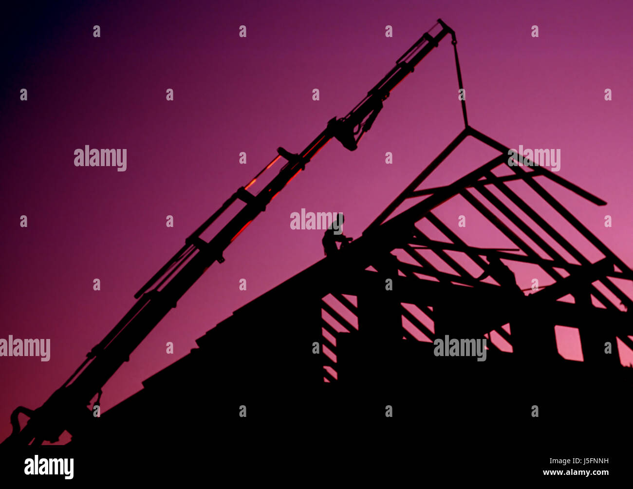 humans human beings people folk persons human human being house ...