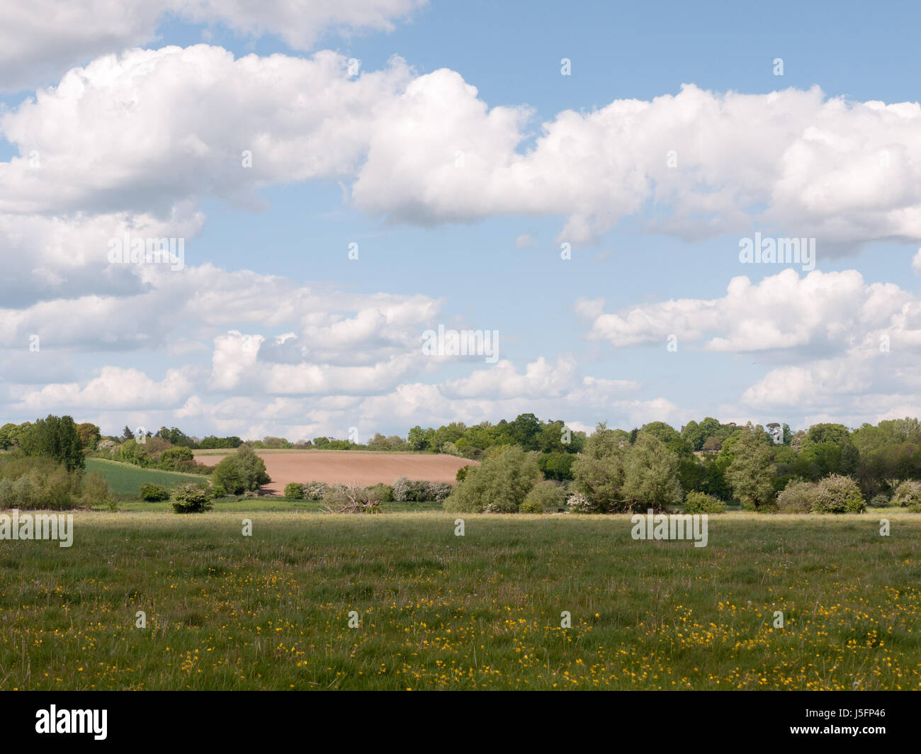 Cloudy sky field england spring may hi-res stock photography and images ...