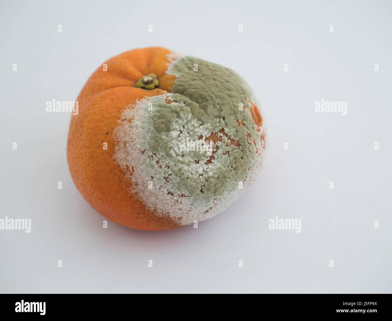 Mold on Tangerine Stock Photo - Alamy