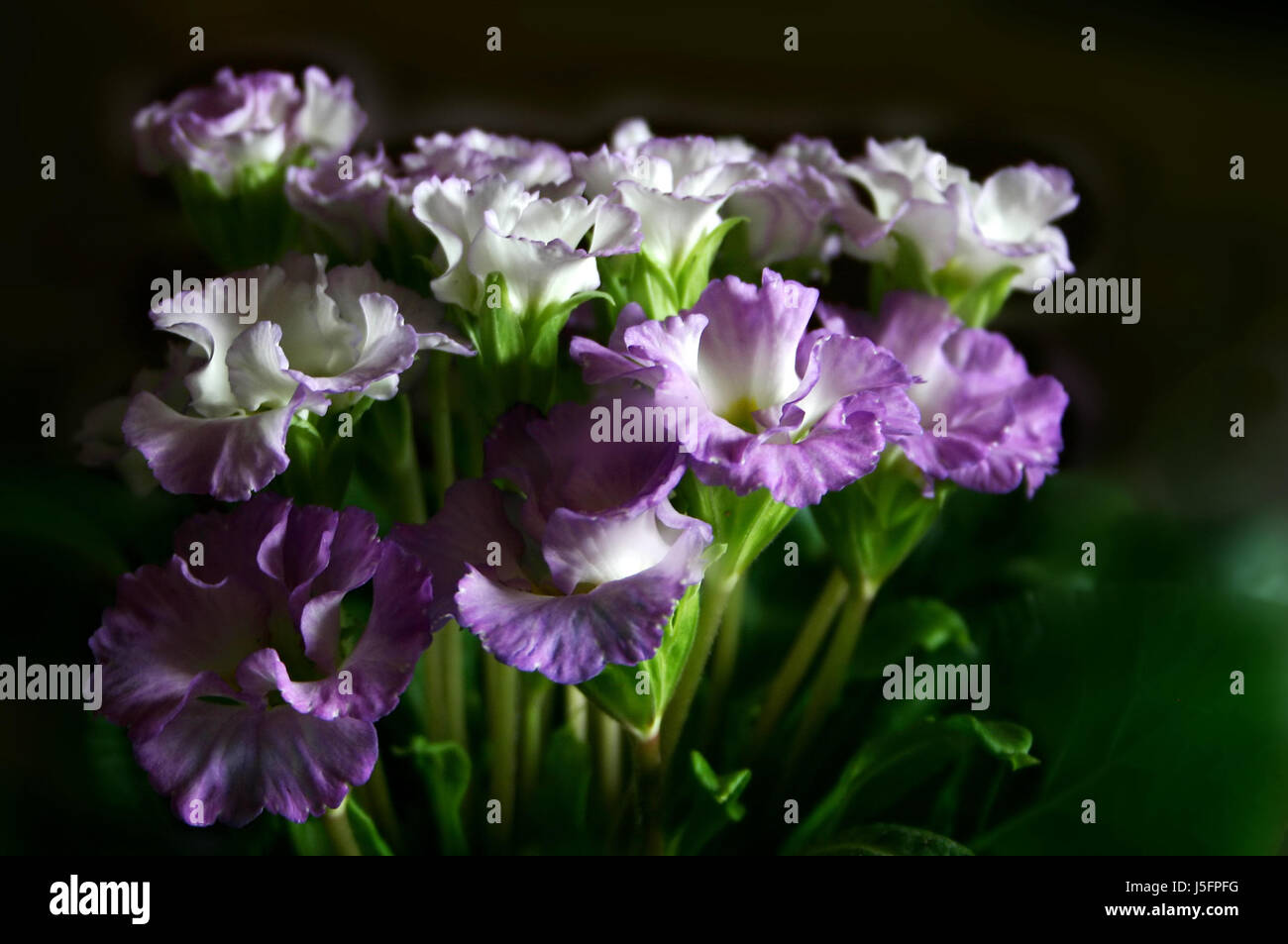 it's that time again Stock Photo - Alamy