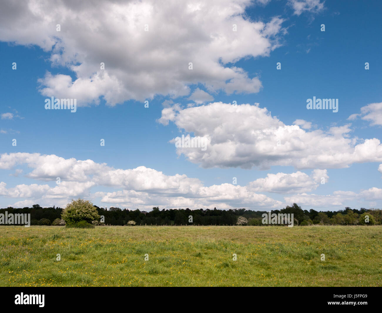 a bright and gorgeous country scene outside in the uk essex of england ...