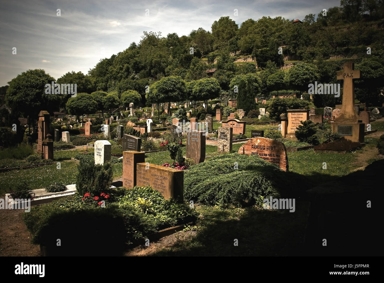 tree trees green flower flowers plant bushes cemetery gravestone ...