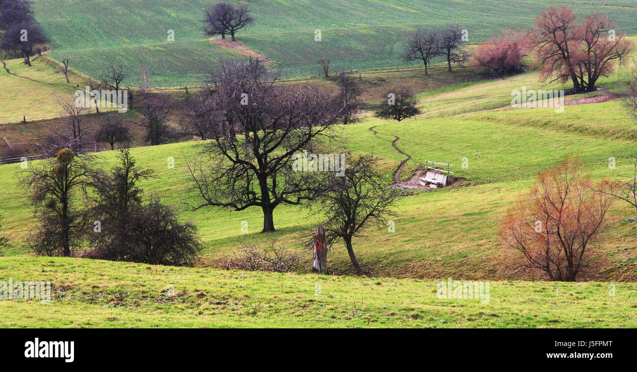 bucolic tree trees agriculture farming fields meadows idyll agrarian ...