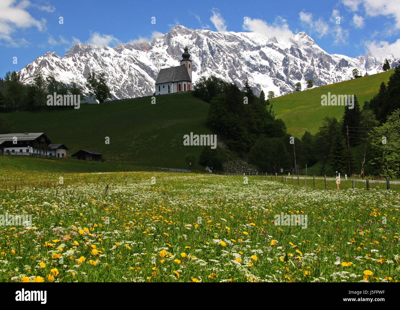 tree alps mountain religion belief church tree trees mountains holiday ...