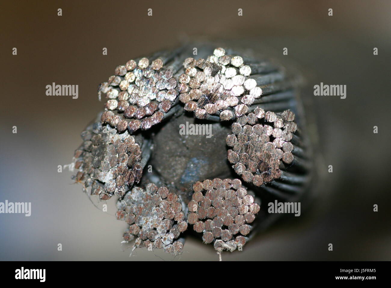 Cross section steel rope hi-res stock photography and images - Alamy