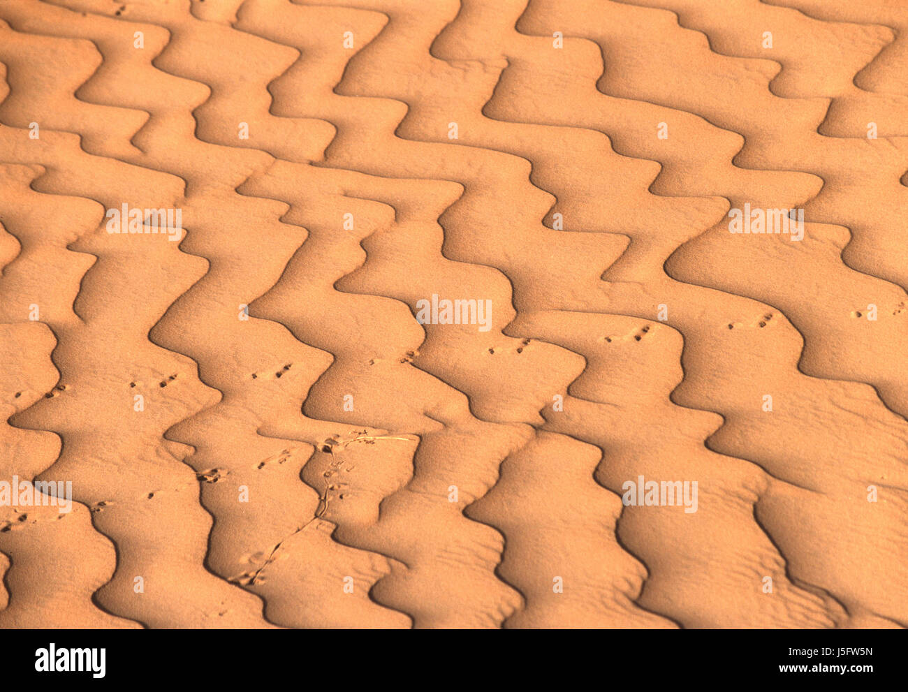 Sandy ribs hi-res stock photography and images - Alamy