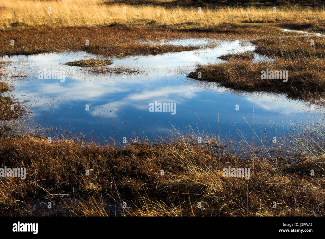 High Fens Eifel Nature Park Stock Photos & High Fens Eifel Nature Park ...