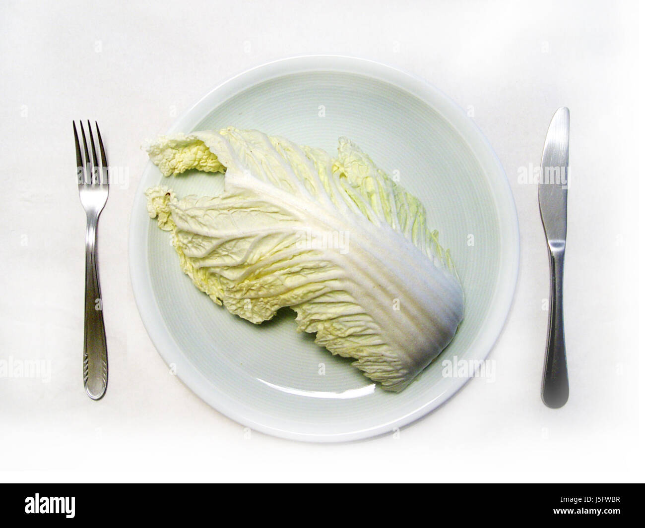 hunger plate diet fork place setting green stuff slim down lose weight ...