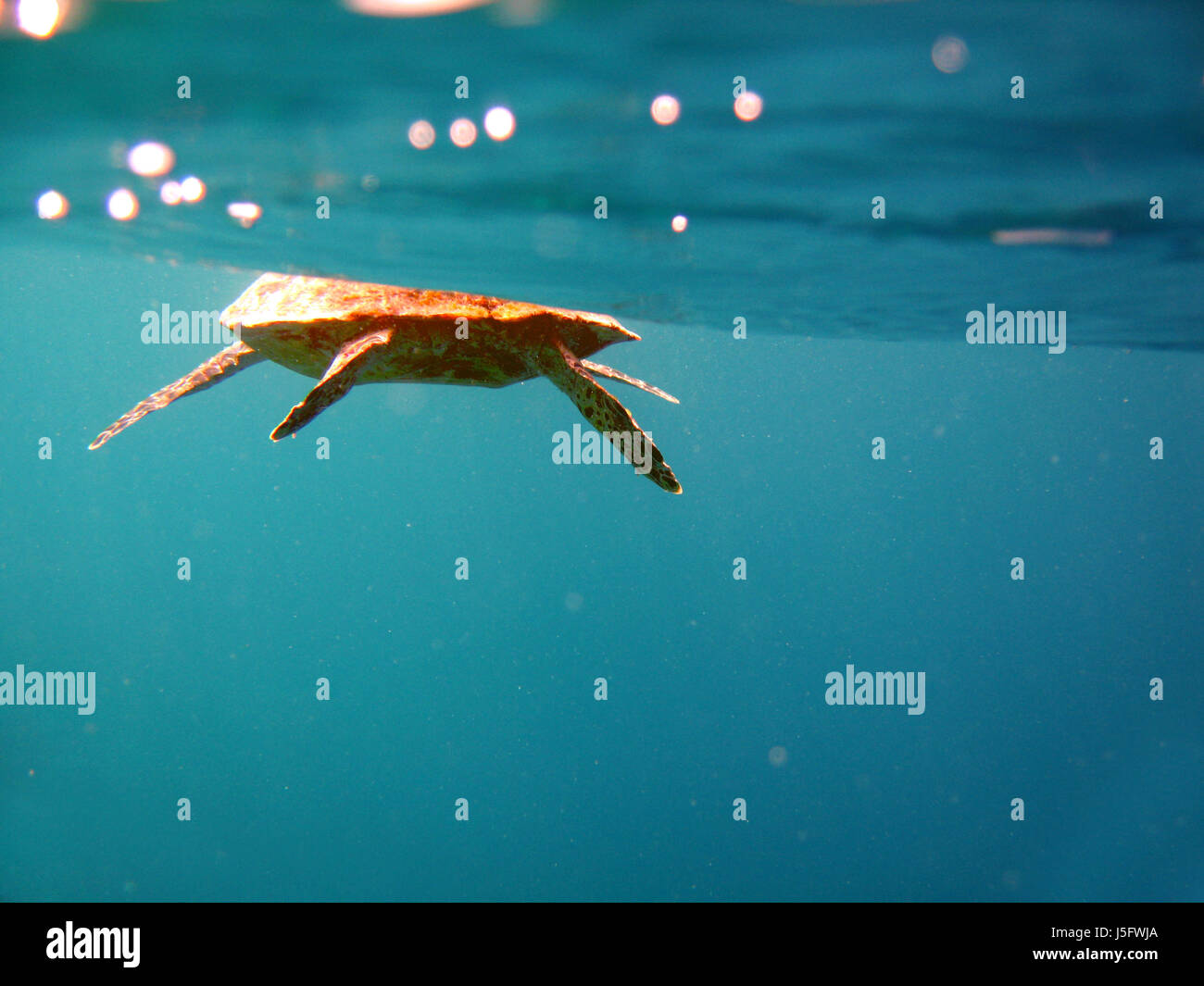 Bye the water hi-res stock photography and images - Alamy