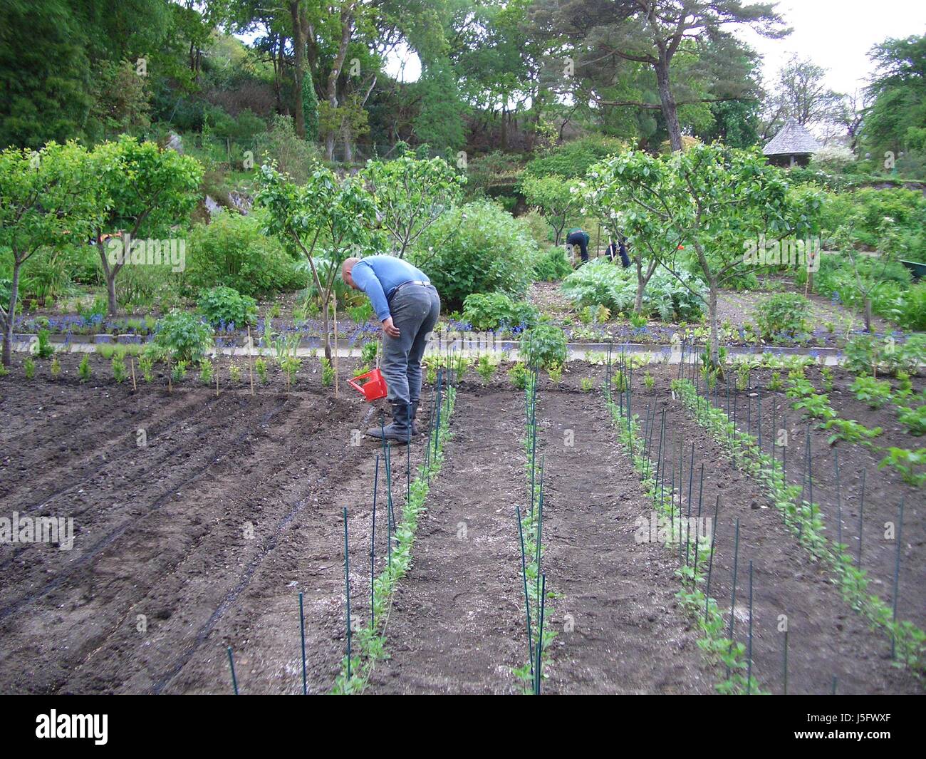 gardener at work Stock Photo - Alamy
