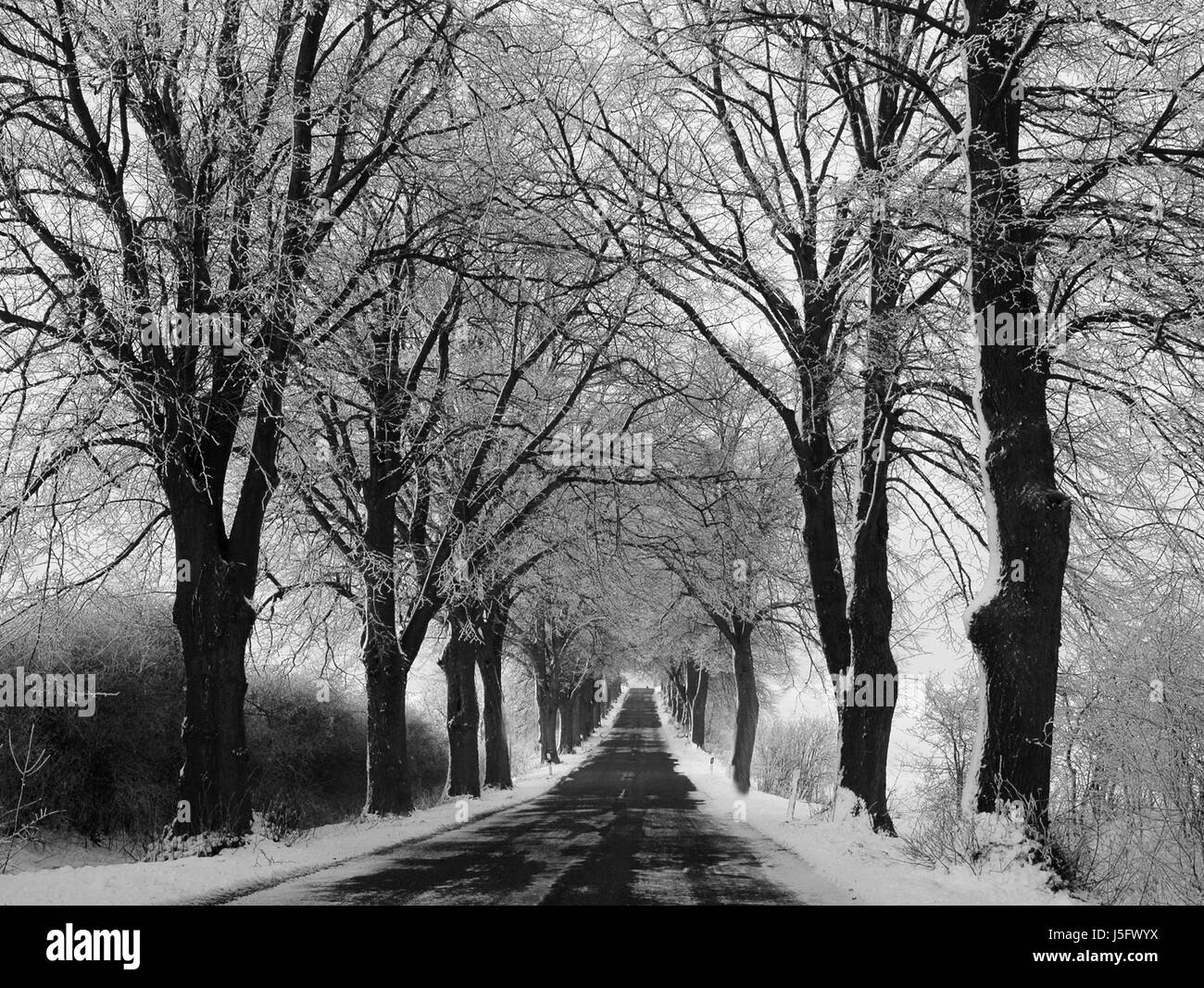 Roads for Black and White Stock Photos & Images - Alamy