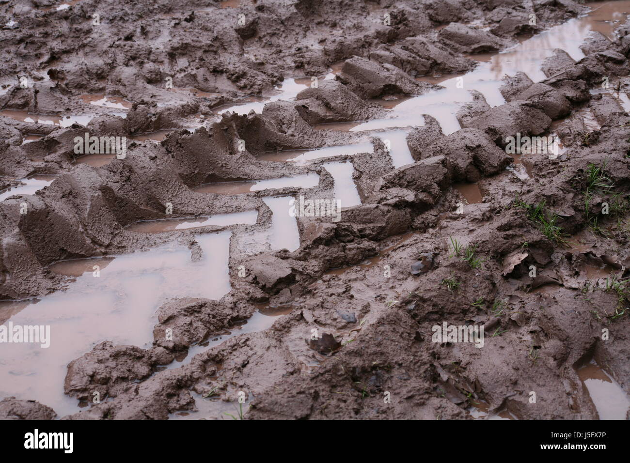 Squishy mud hi-res stock photography and images - Alamy