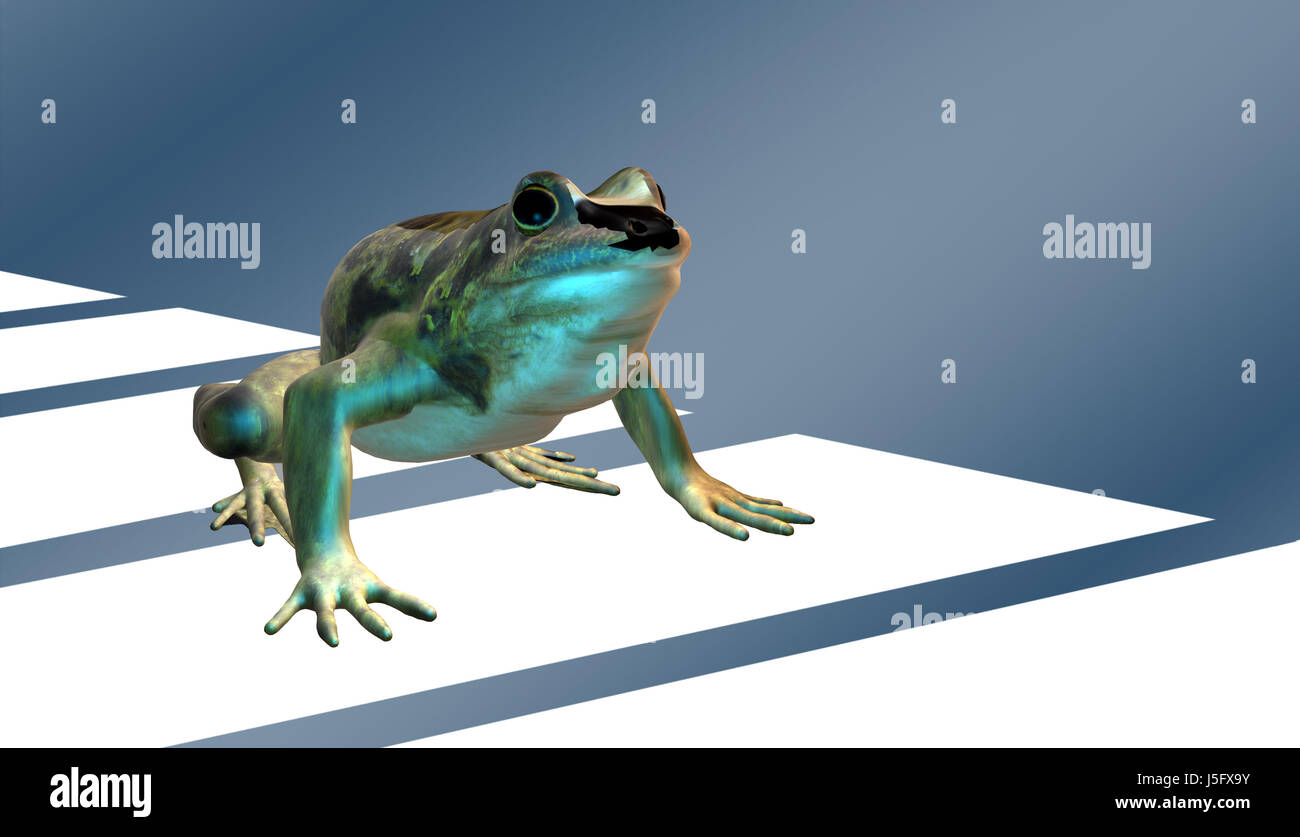 frog toads toad frogs zebra crossing cross sport sports run running ...