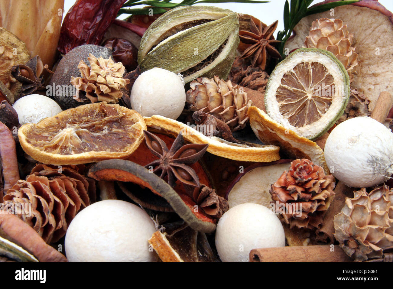 orange carnation fruit apples apple dry dried up barren esoteric dried ...