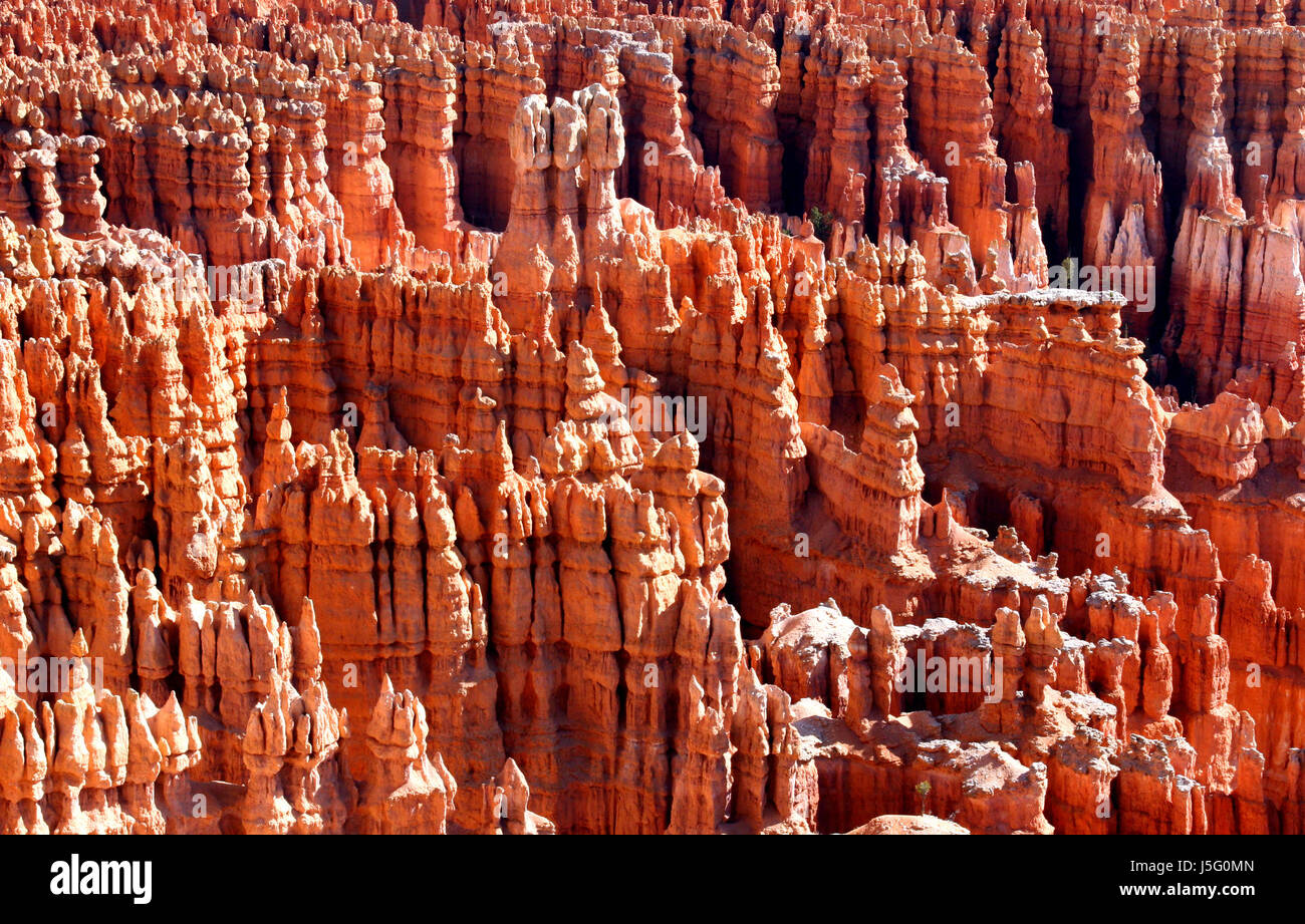 beautiful beauteously nice park national park columns play of colours ...