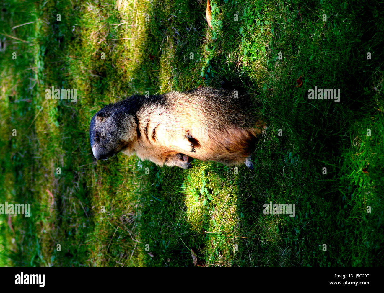 Overseer hi-res stock photography and images - Alamy