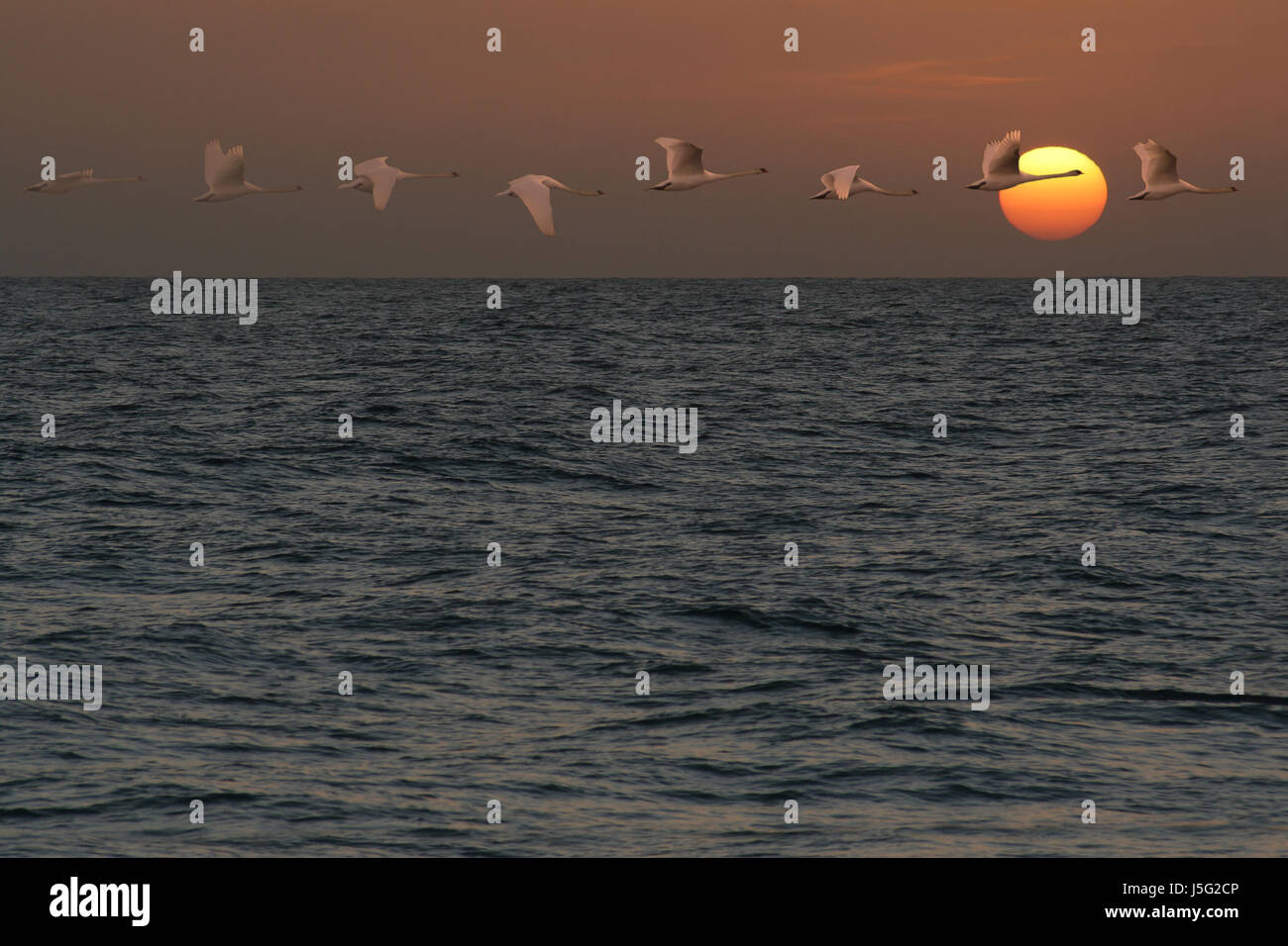 into the sunset Stock Photo - Alamy