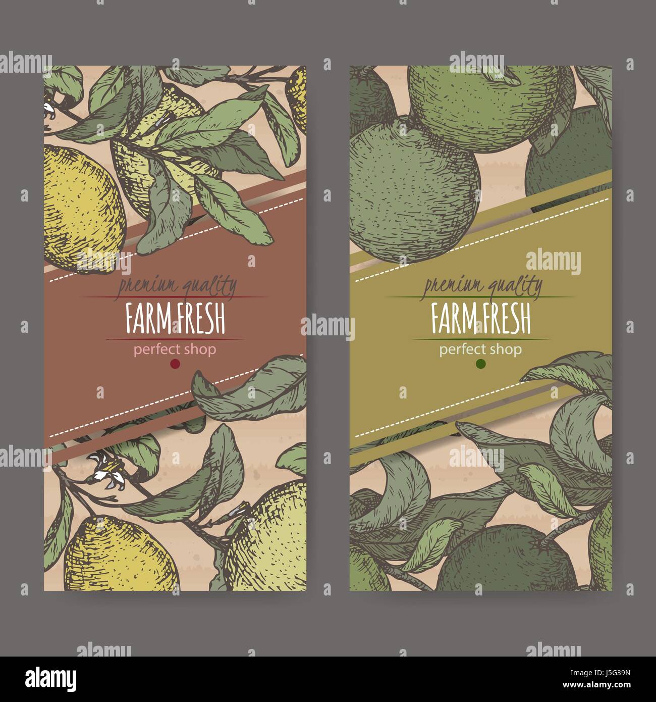 Set of two color labels with fresh lemon and lime fruits on cardboard ...